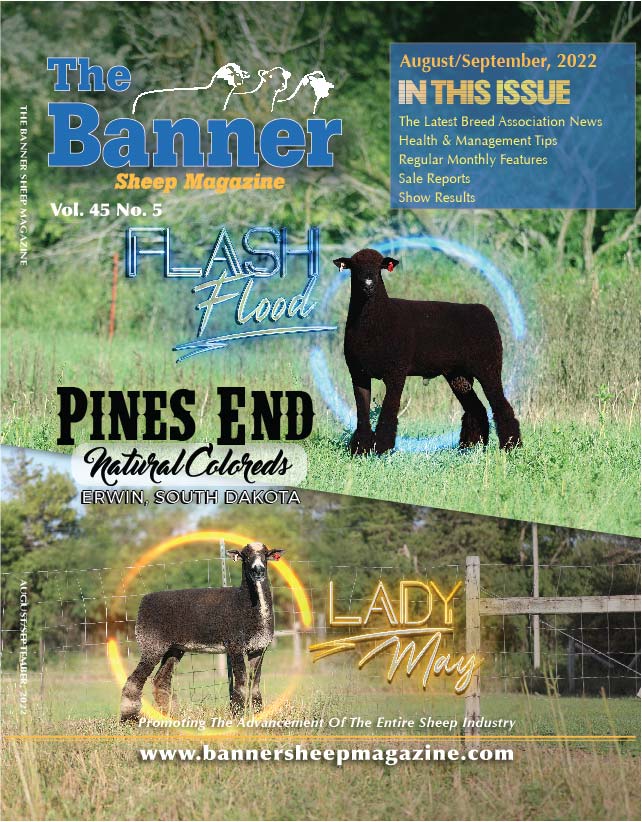 The Banner Sheep Magazine | The Nation's Largest All-Breeds Sheep Magazine
